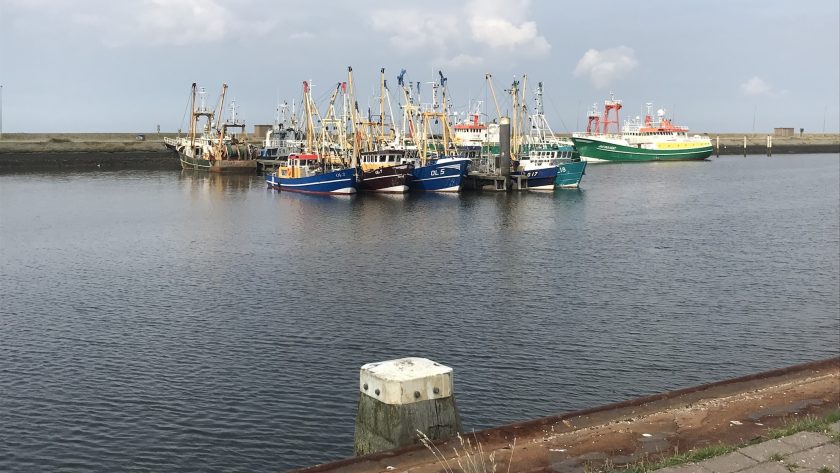 5x naar de dijk in Groningen