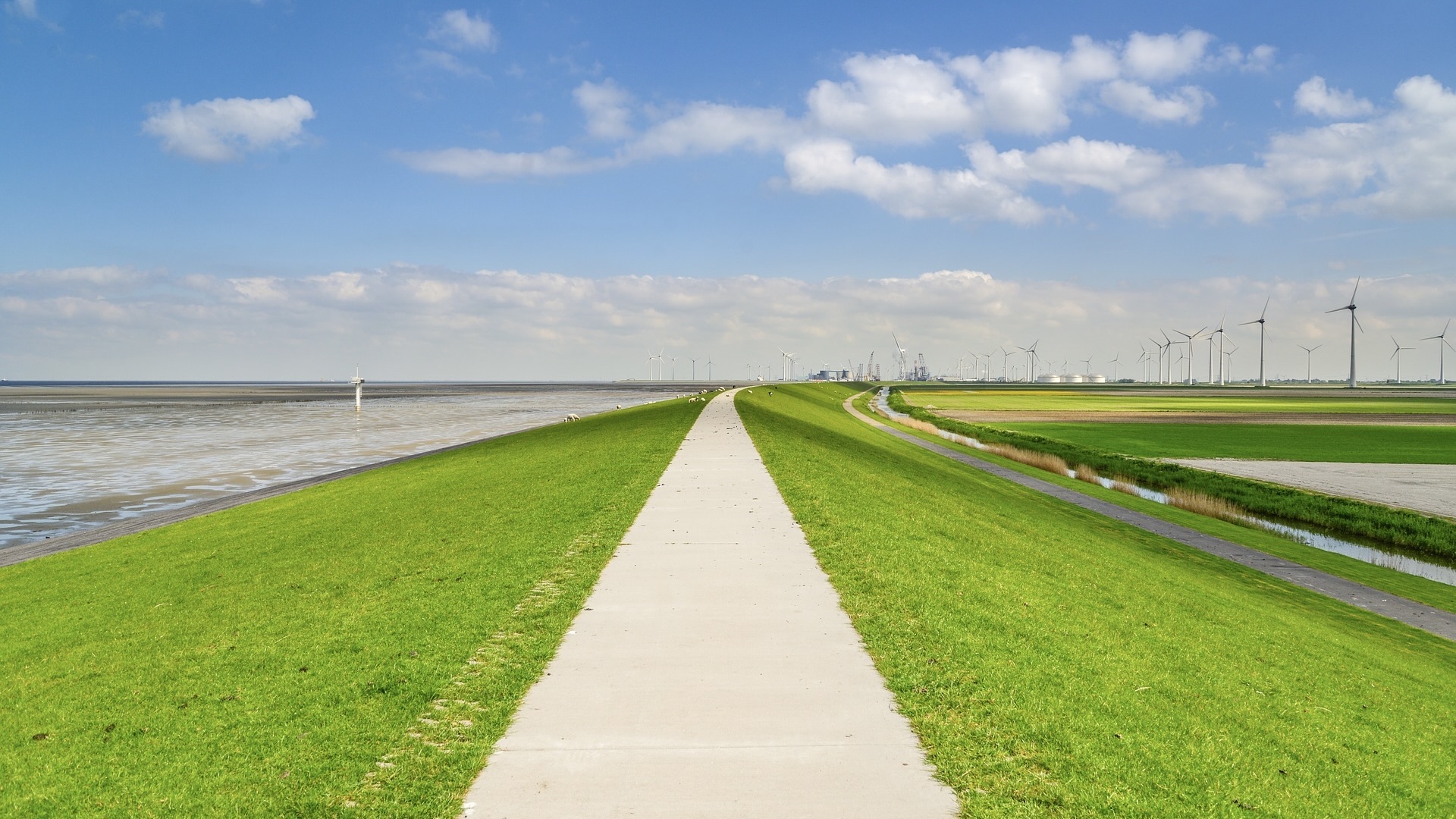 Dijken Groningen Archieven - Neneh's Choice