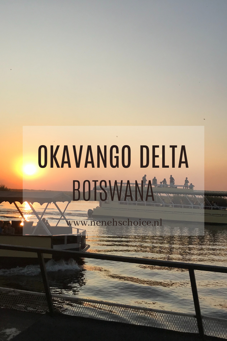 De Okavango Delta in Botswana bezoeken? De beste tips!