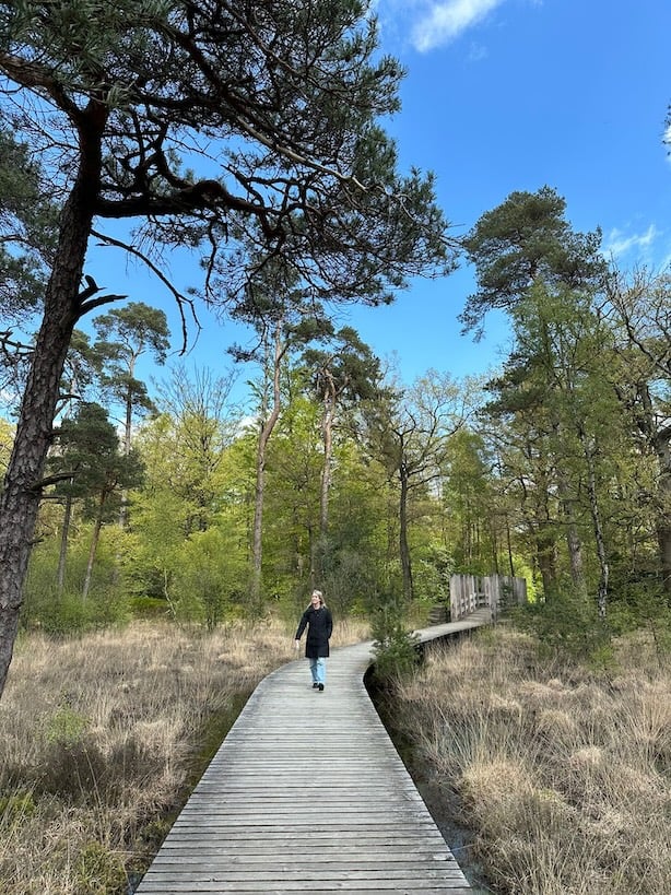 Wandelen: Umfassungsweg Twickel in Twente (11 km)