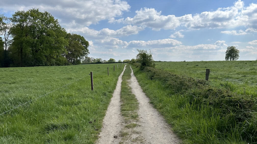Wandelen: Umfassungsweg Twickel in Twente (11 km)