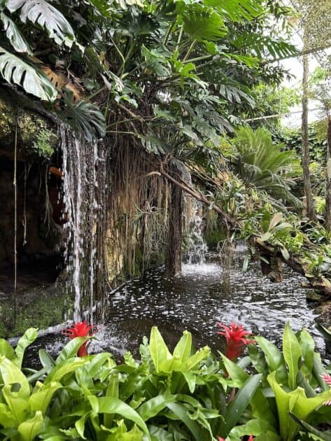 Pantropica in Flevoland: tips voor een tropisch dagje uit! – Neneh's Choice