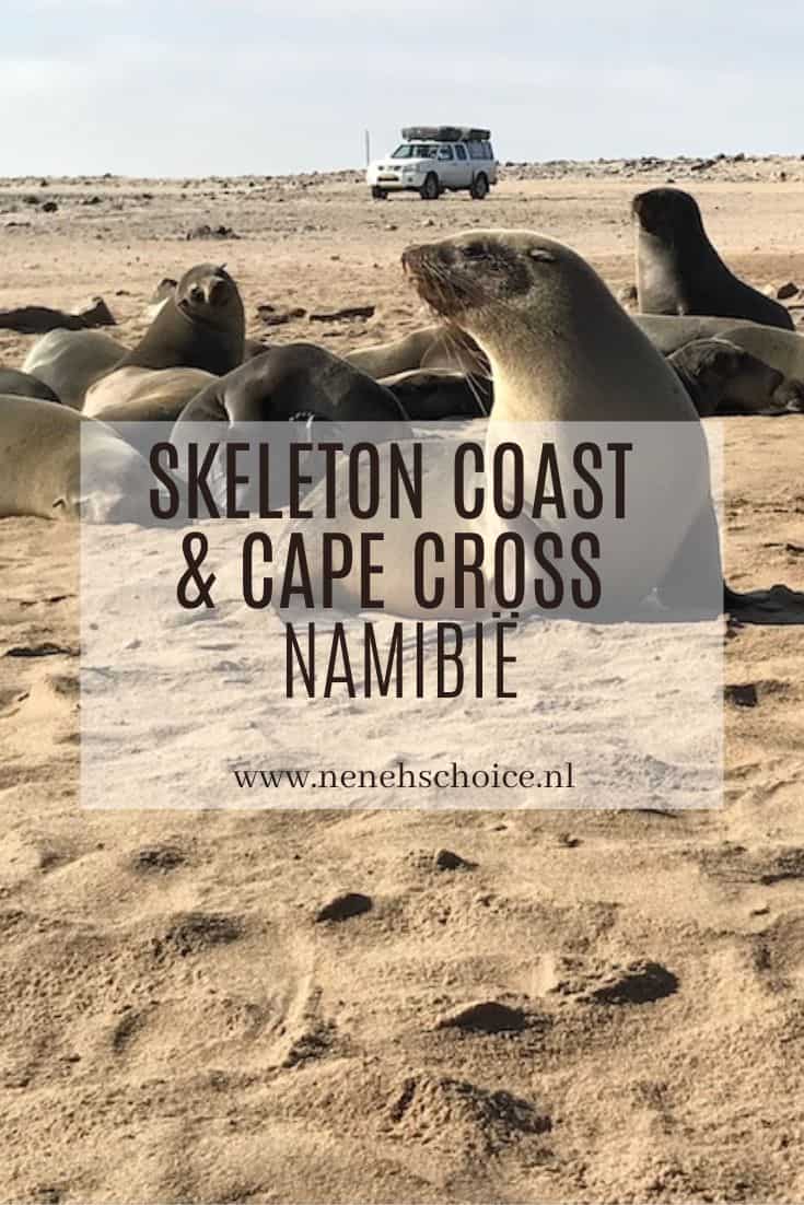 Skeleton Coast en Cape Cross in Namibië